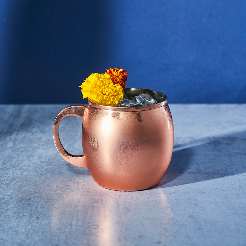 The Moscow Mule Kick Cocktail Kit - VODKA & LEMON VODKA – Crafted Taste ...